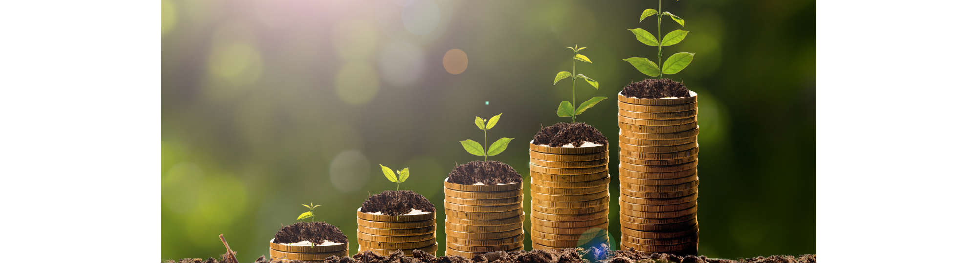 Cambio Group | Accounting and Financial Planning - Gold Coast